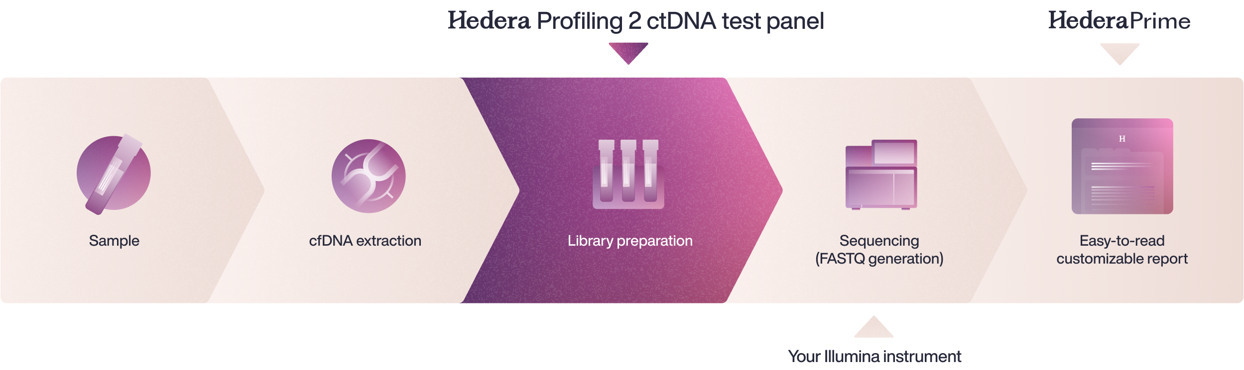 Hedera Dx | Solution